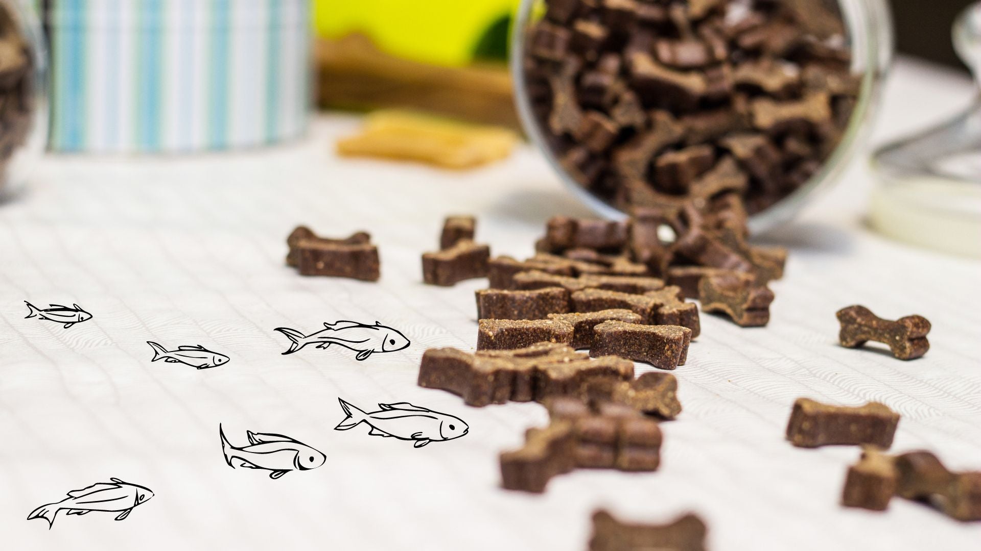 Fish Treats for Dogs in Singapore – Knine Culture