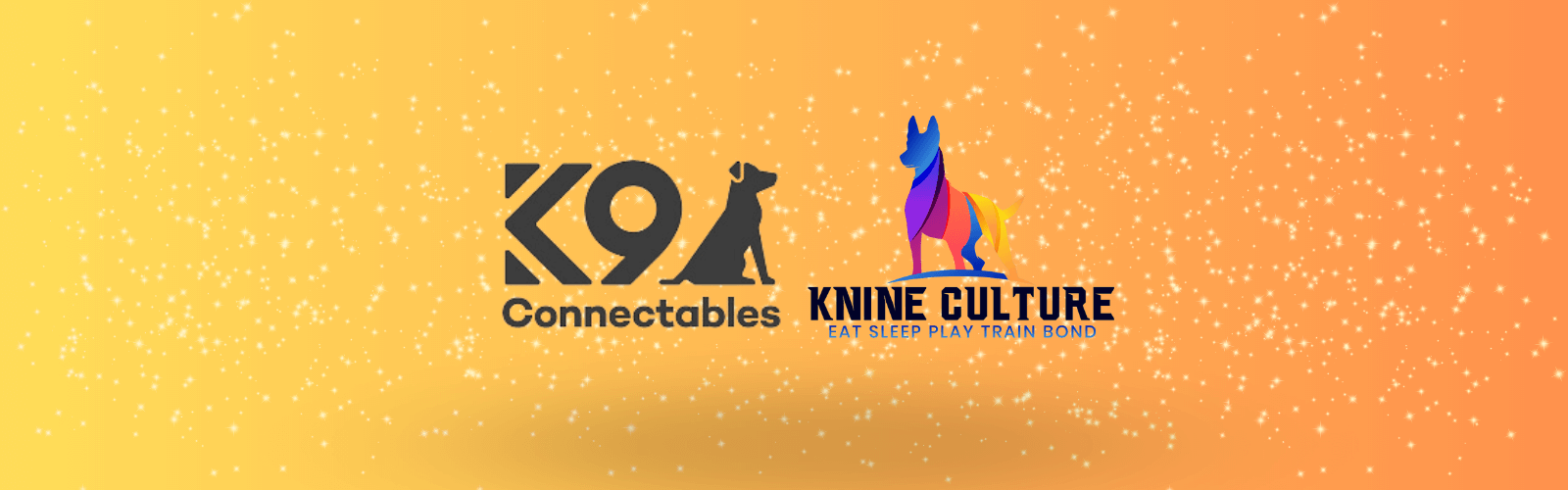 Mental Stimulation Toys | K9 Connectables Singapore | Knine Culture