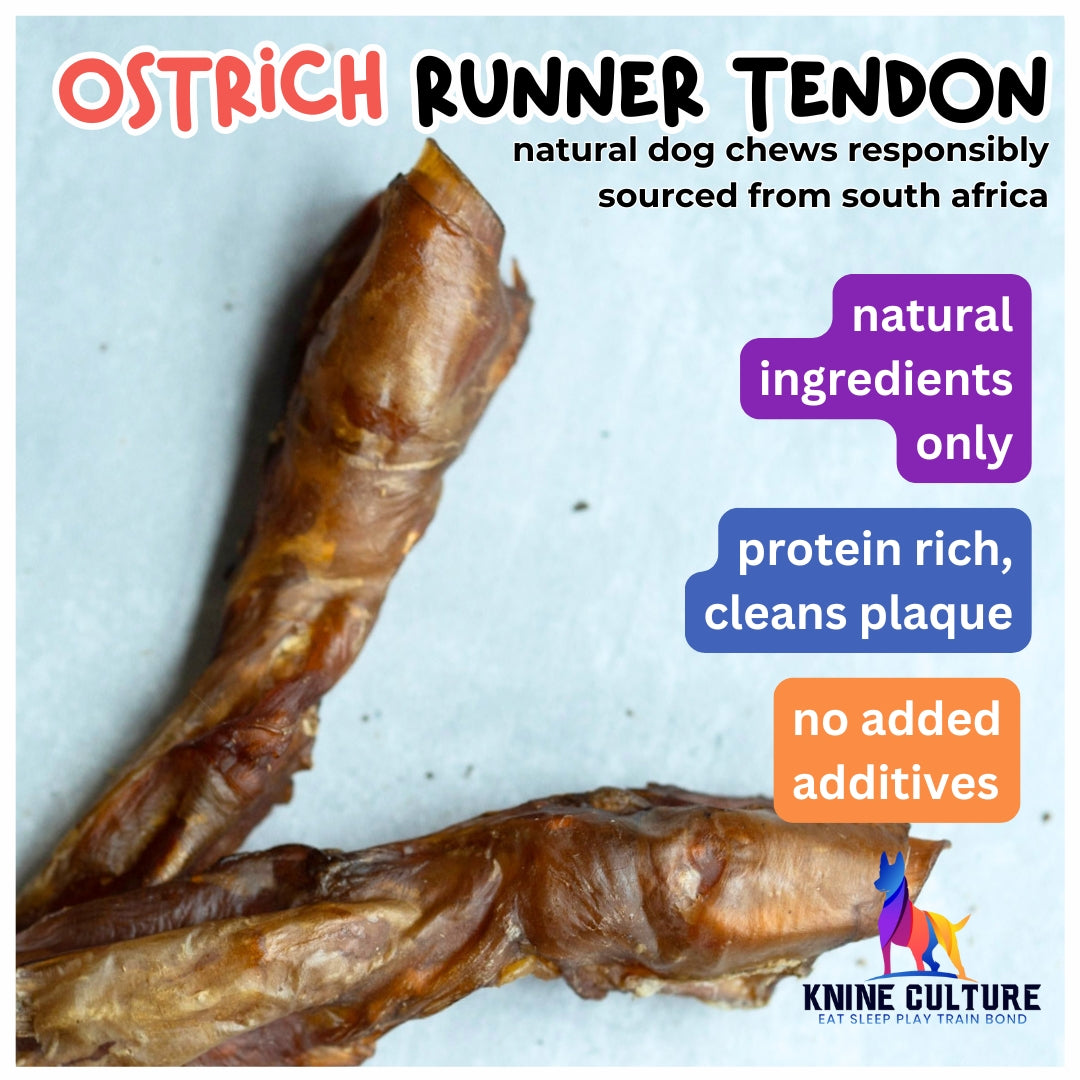 Ostrich Runner Tendon (Pack of 5) – k9culture