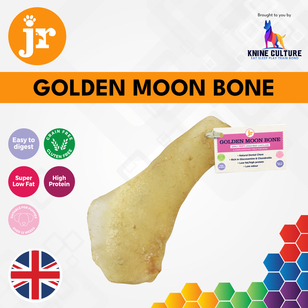 Golden Moon Bone (no actual bone) – k9culture