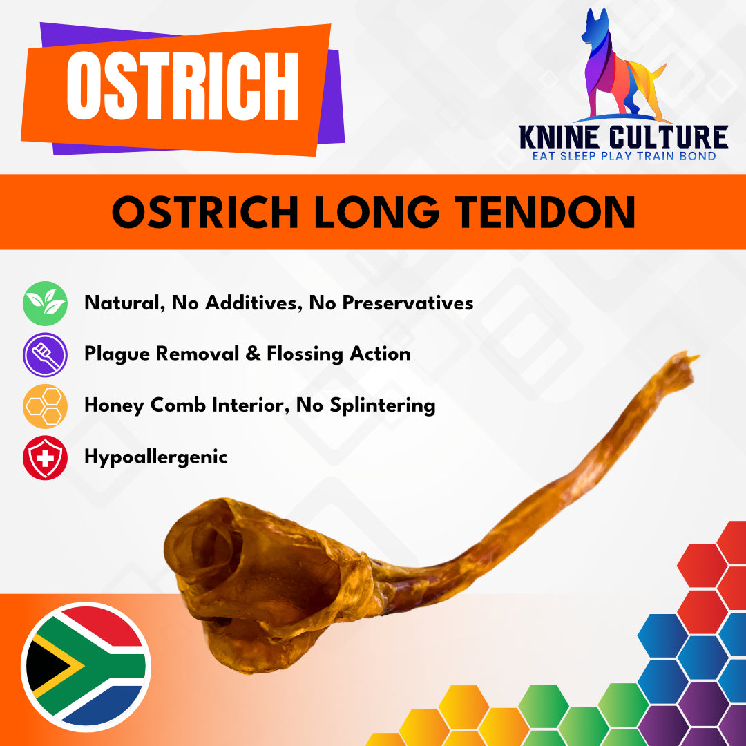 Ostrich Long Tendon (40cm+) – k9culture