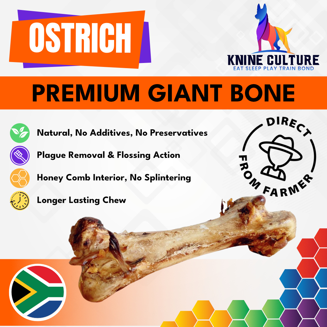 Premium Giant Ostrich Bone Dog Treats | Knine Culture Singapore – k9culture